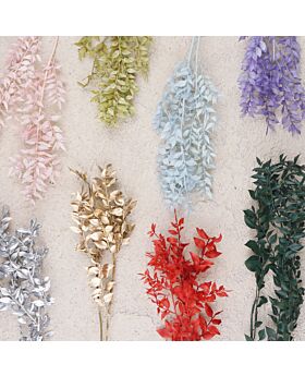 Preserved Flower - Bunga & Tanaman