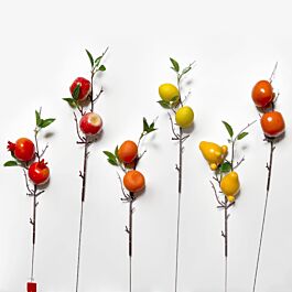 2 Head Fruit Branch FWR