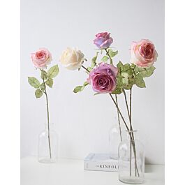 Fresh Rose Simulation